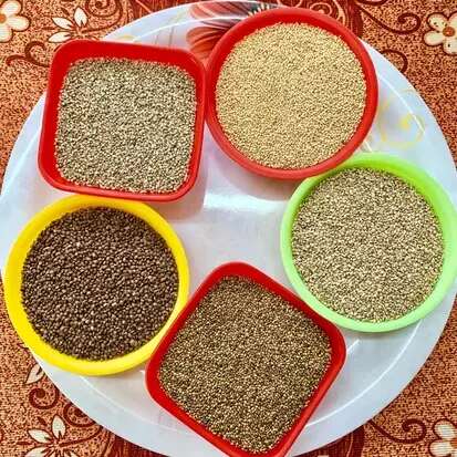 5 Positive Millets Combo – Satviki Farms